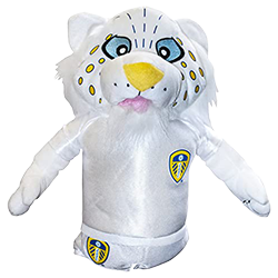 Leeds United Football Club Color Codes - Color Codes in Hex, Rgb, Cmyk ...