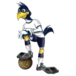 Tottenham Hotspur Football Club Color Codes - Color Codes in Hex, Rgb ...