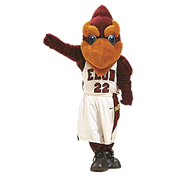 Elon Phoenix Color Codes - Color Codes in Hex, Rgb, Cmyk, Pantone