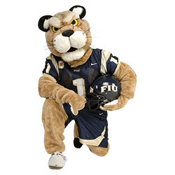 Florida International University Panthers Color Codes - Color Codes in ...