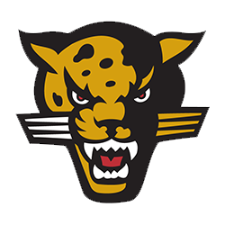 IUPUI Jaguars Color Codes - Color Codes in Hex, Rgb, Cmyk, Pantone