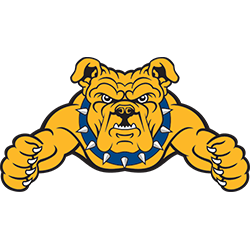 North Carolina A&T Aggies Color Codes - Color Codes in Hex, Rgb, Cmyk ...