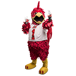 Jacksonville State Gamecocks Color Codes - Color Codes in Hex, Rgb ...