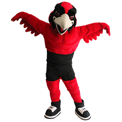 Southeast Missouri State Redhawks Color Codes - Color Codes in Hex, Rgb ...