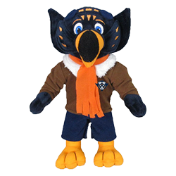 Tennessee-Martin Skyhawks Color Codes - Color Codes in Hex, Rgb, Cmyk ...