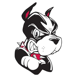 Boston University Terriers Color Codes - Color Codes in Hex, Rgb, Cmyk ...